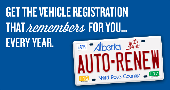 Vehicle Registration Auto-Renew - AMA